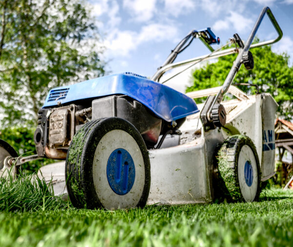 Cam’s Cuts – Yard Maintenance