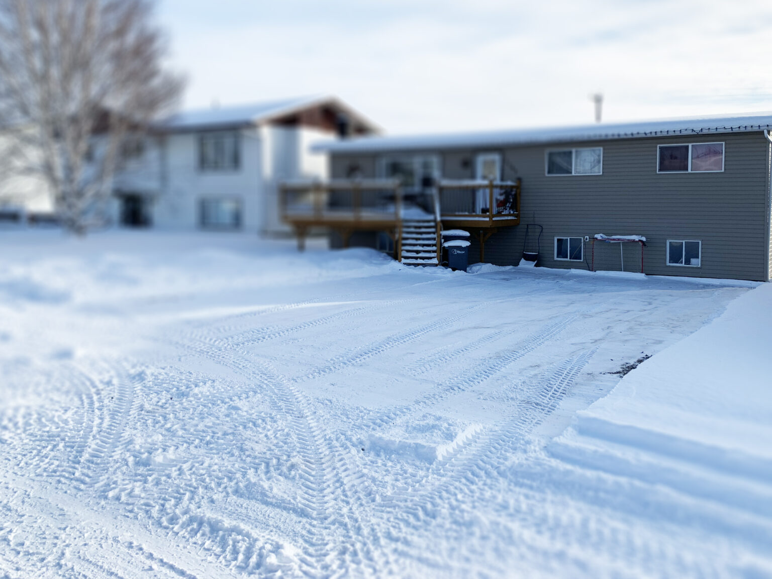 Cam’s Cuts – Yard Maintenance